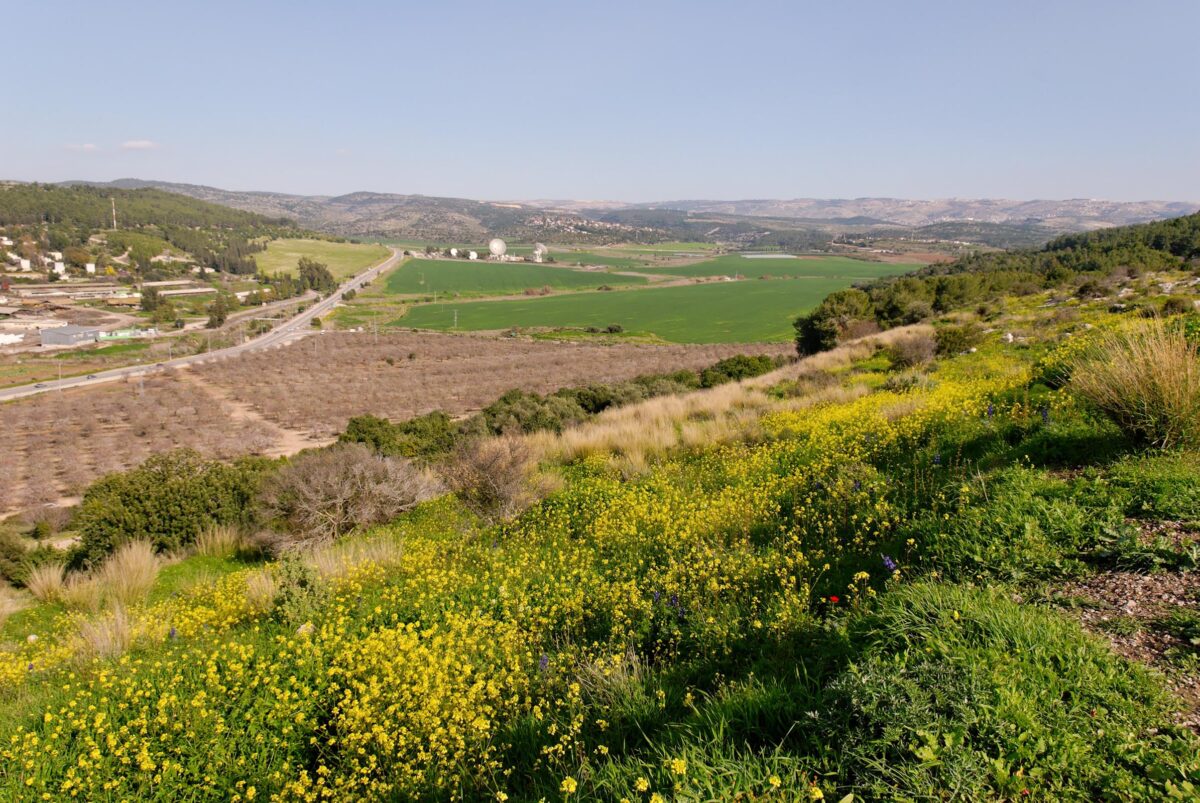 Elah Valley – Warriors-Walk