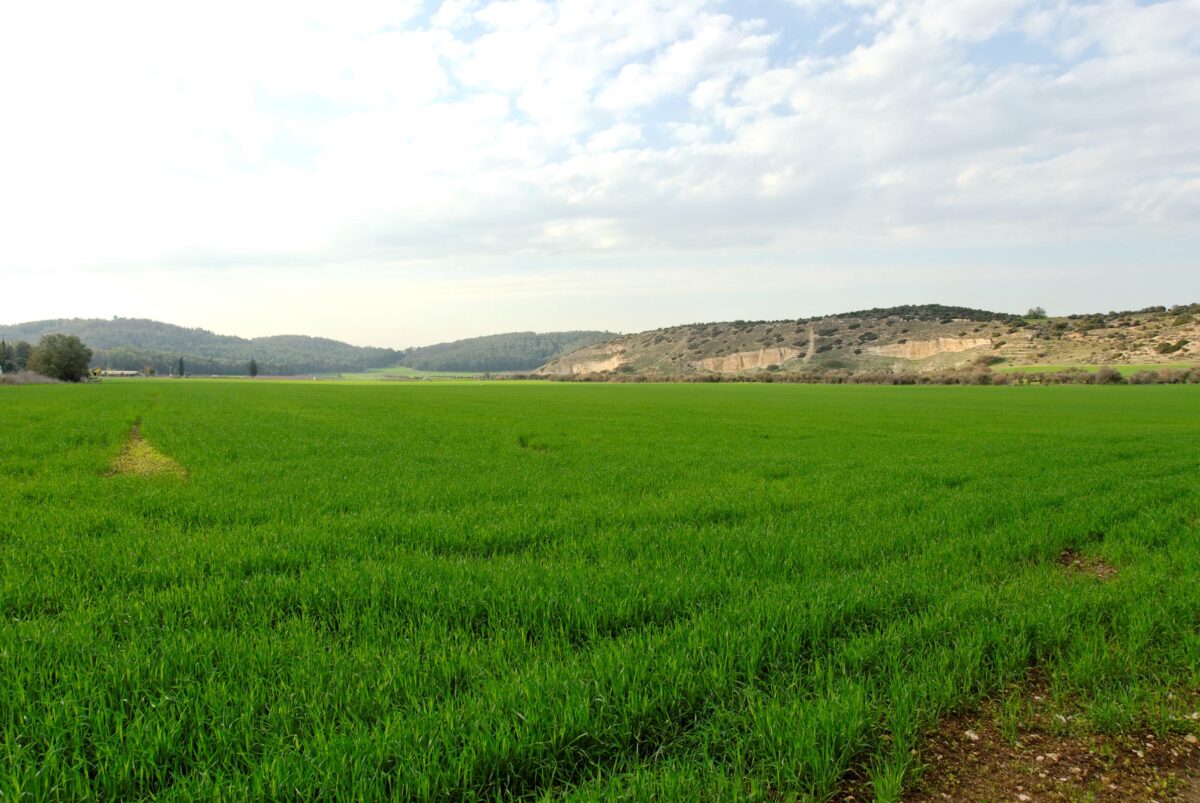 Elah Valley – Warriors-Walk